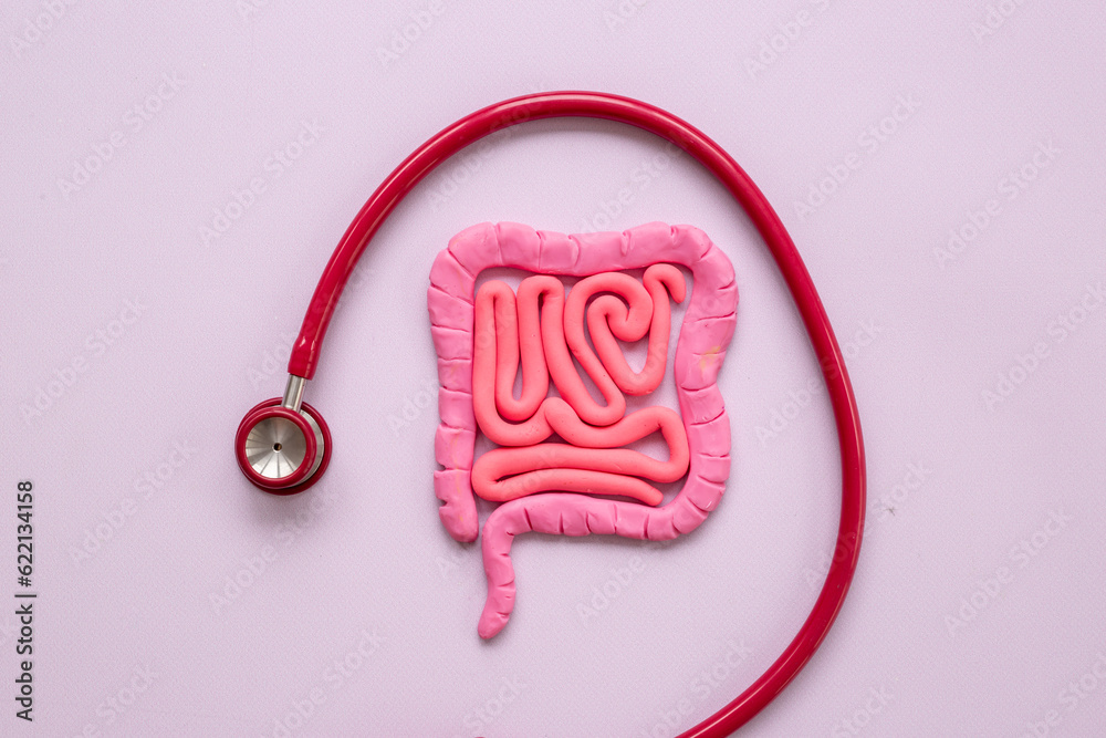 Human intestines colon organ shape. Digestive tract problems colitis or ...