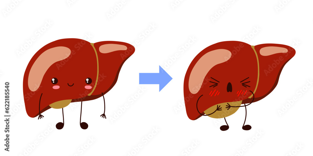 Healthy happy and sad sick liver characters. Liver damage disease. Cute ...