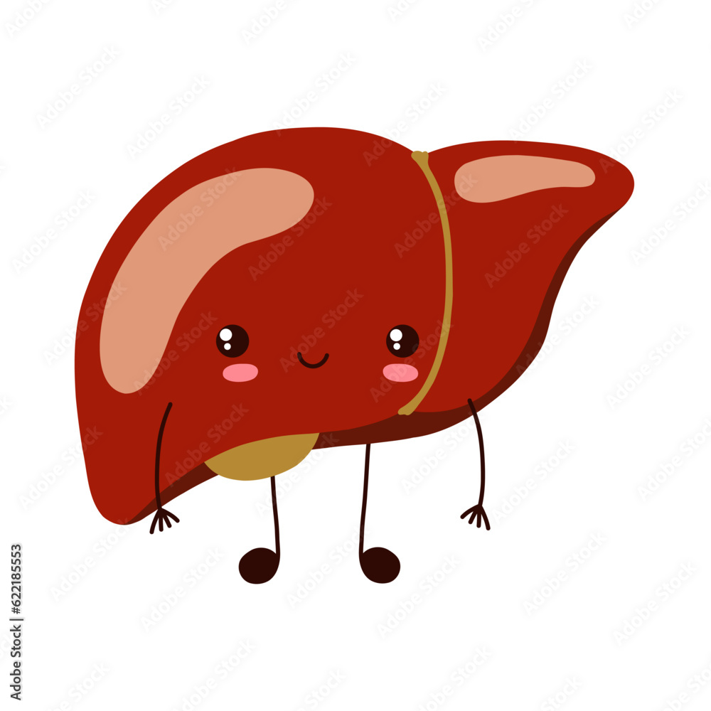 Liver cartoon character. Healthy liver. Internal organs. Stock vector ...