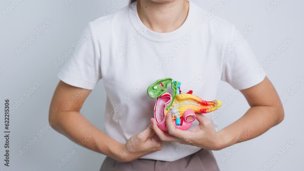 Doctor with human Pancreatitis anatomy model with Pancreas, Gallbladder ...