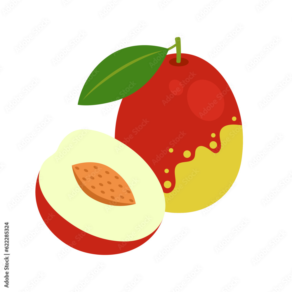 Vecteur Stock Jujube whole fruit and half isolated on white background ...