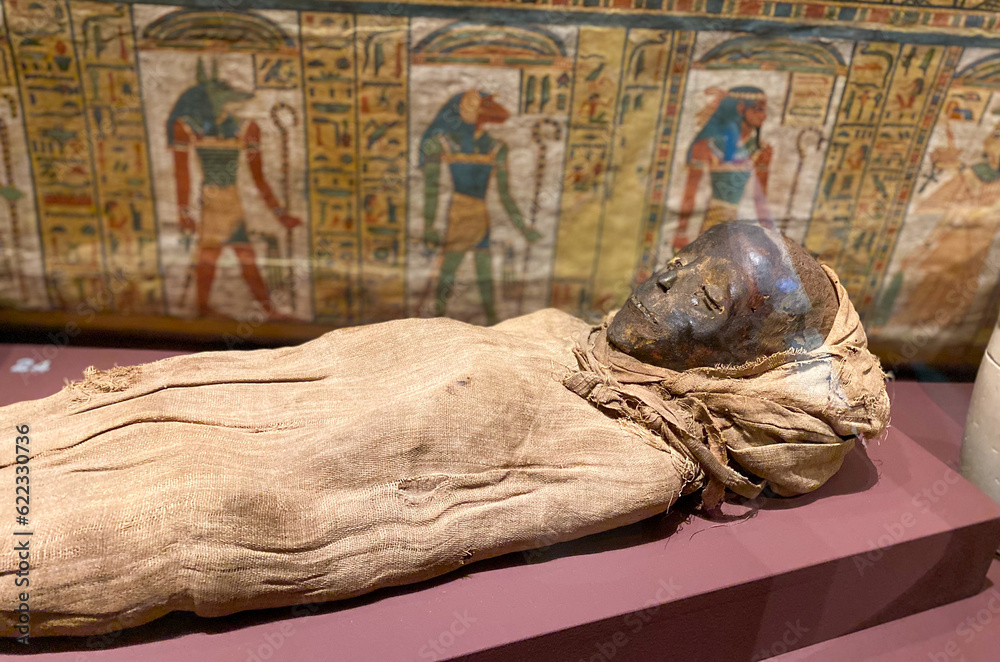 Stockholm, Sweden - June 11 2023: Egyptian Mummies and sarcophagus in ...