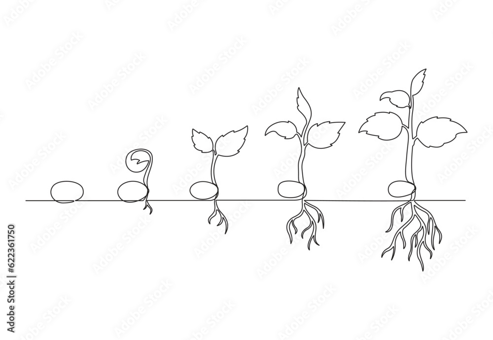 Plant growing continuous line drawing vector illustration. Sprout ... Plant growing continuous line drawing vector illustration. Sprout ...