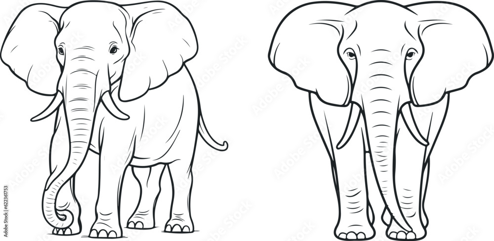 Elephant front and side views vector illustration on white background ...