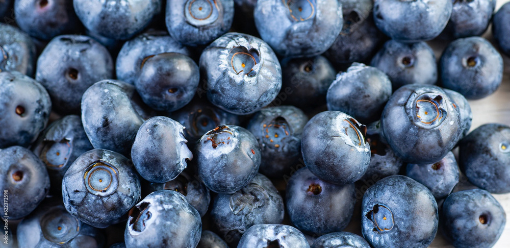 Macro texture of blueberry berries close up. Border design. Summer ...