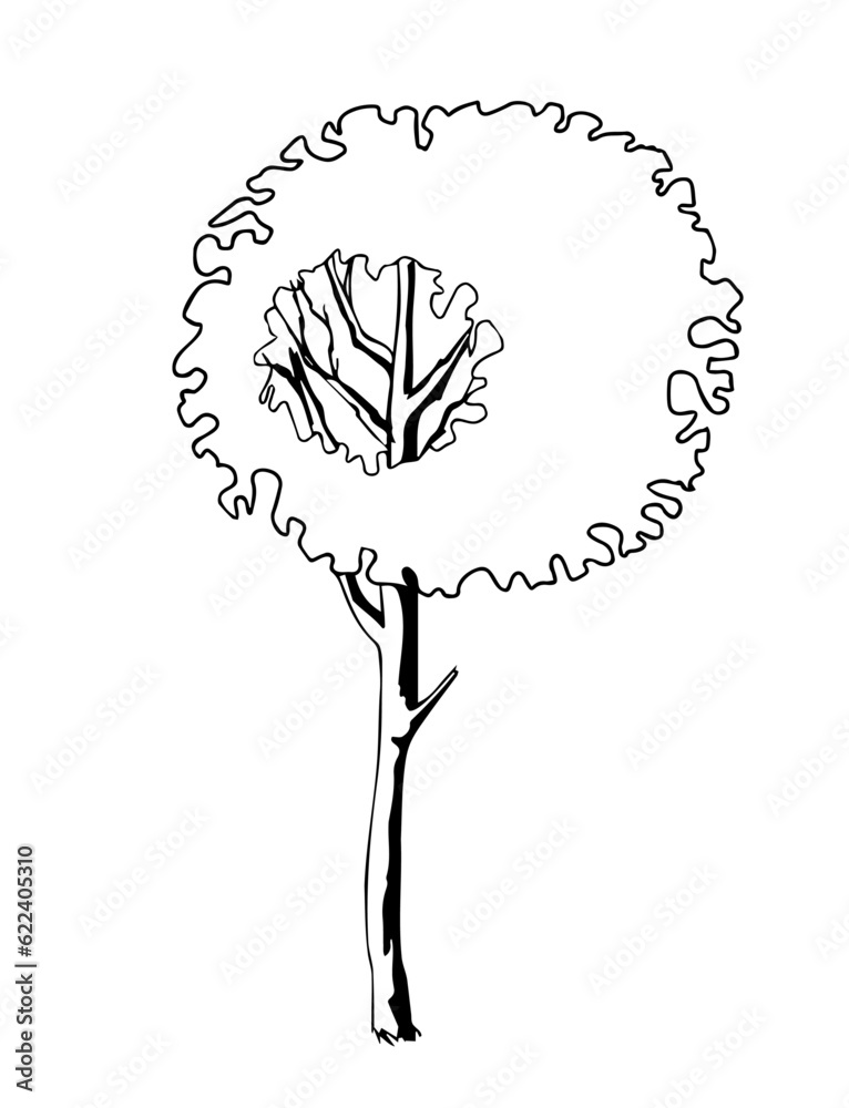 Linear graphic design tree for background, isolated outline tree ...