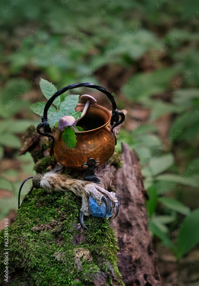 magic amulet made of a bird's leg with crystal and copper witch ...