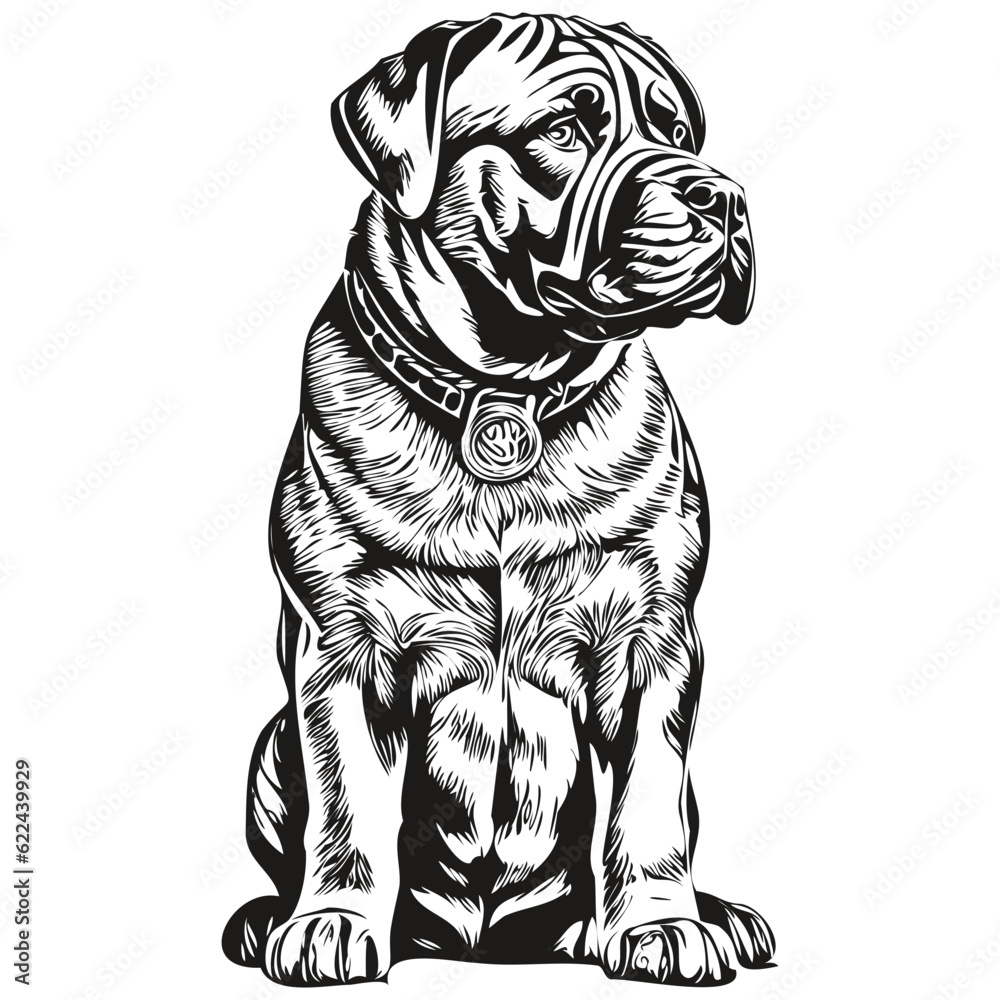 Neapolitan Mastiff dog breed line drawing, clip art animal hand drawing ...