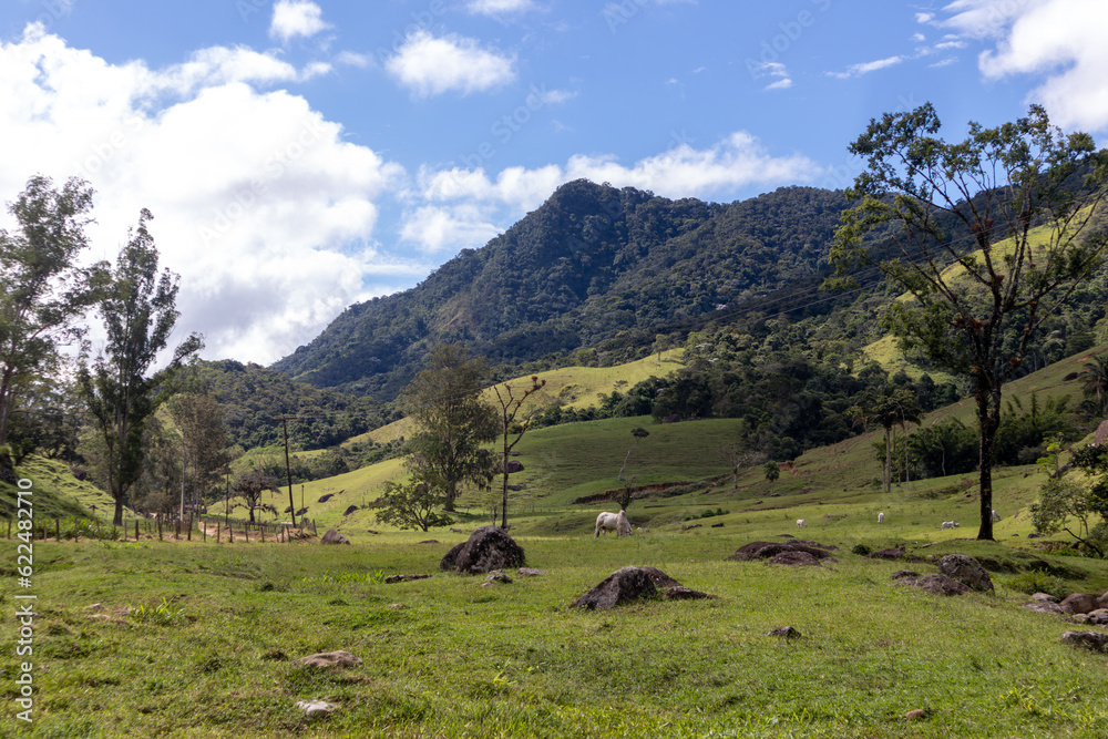 Panorama of mountainous terrain with forest and small houses. Panoramic ...