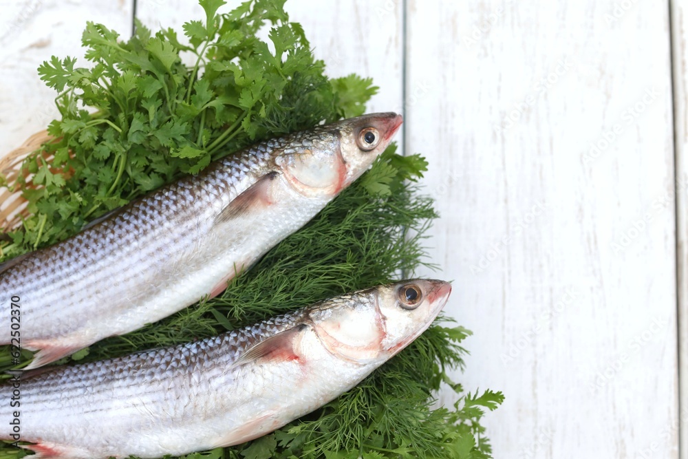 Mullet on greens, Loban, dill, on the table, Pelengas, Buri, Mugil ...