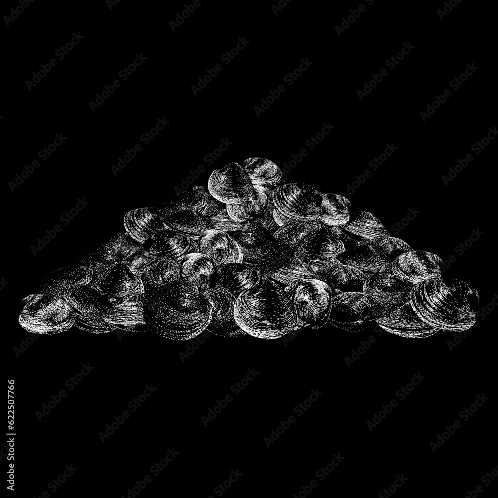 quahog clams hand drawing vector isolated on black background. Stock ...