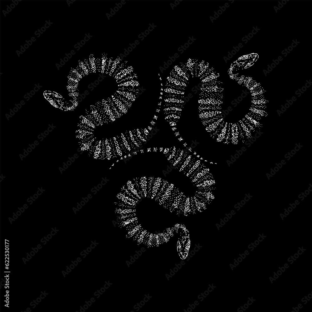 3 death adder snakes hand drawing vector isolated on black background ...