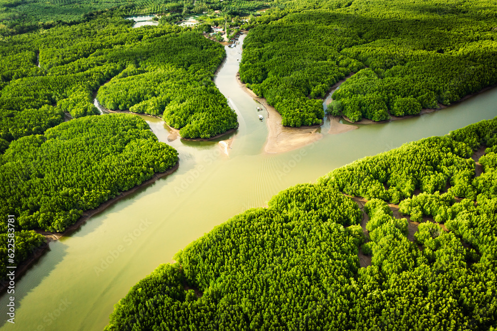 Forest lake landscape. Rainforest ecosystem and healthy environment ...