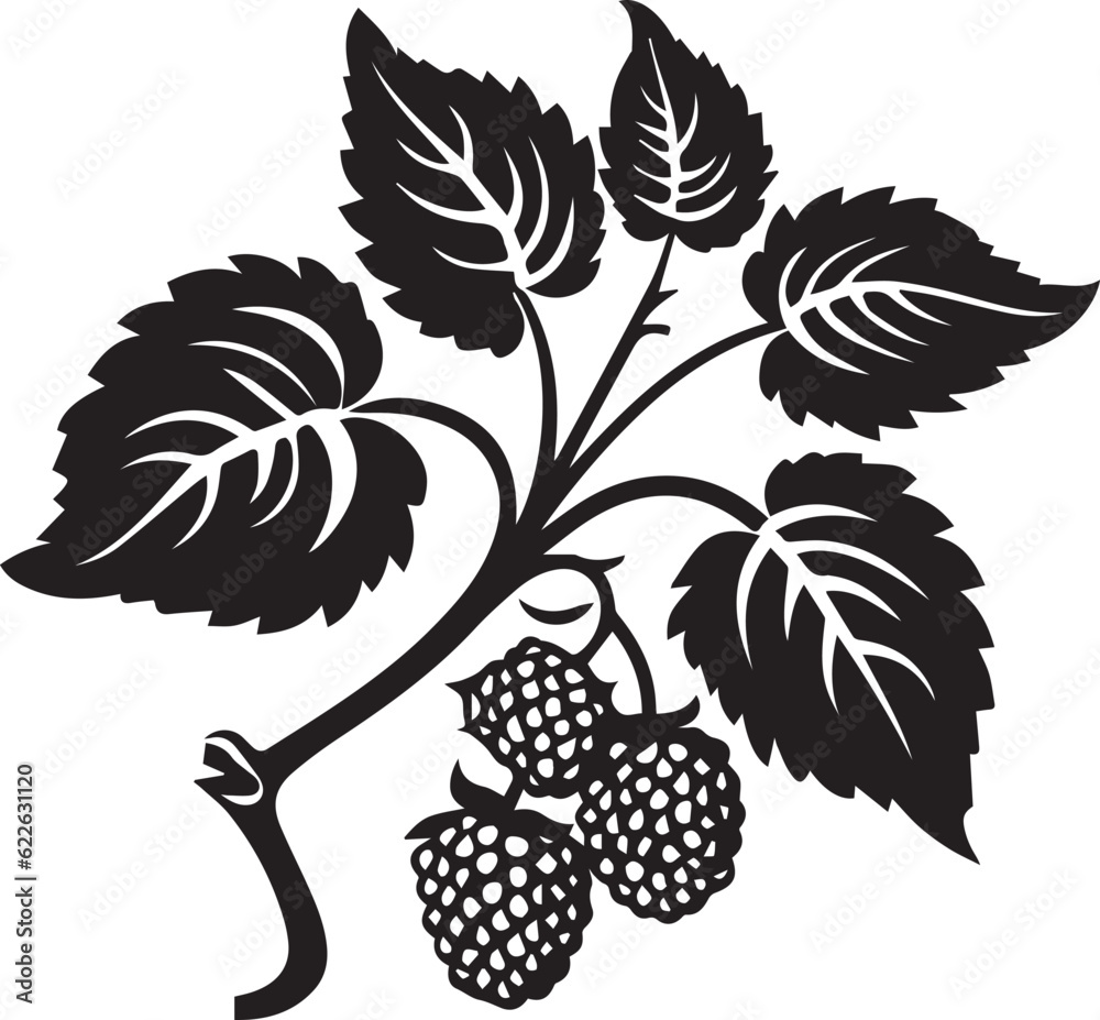 Red mulberry Black And White, Vector Template Set for Cutting and ...
