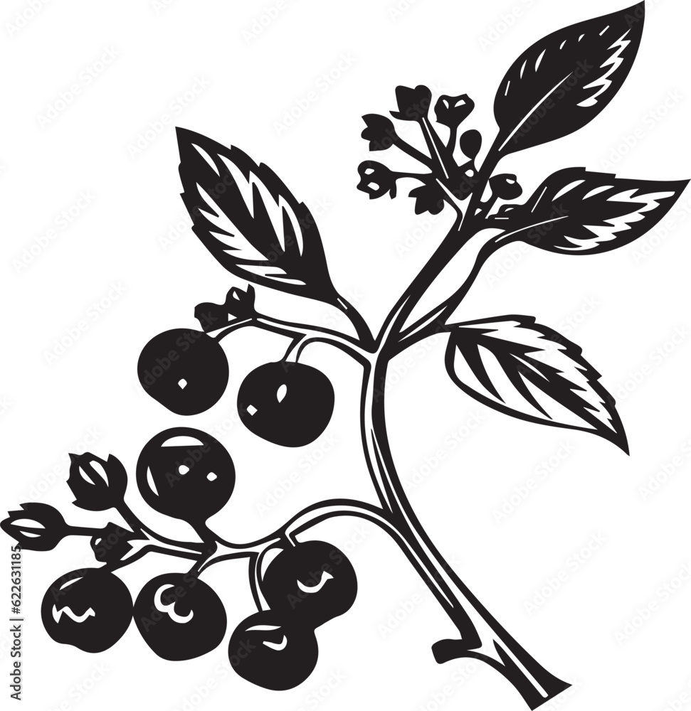 Saskatoon Berry Black And White, Vector Template Set for Cutting and ...