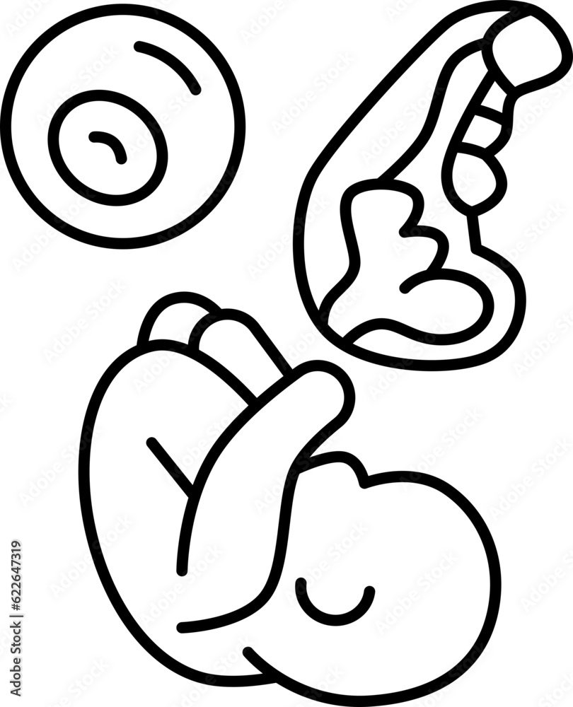 embryology icon Stock Vector | Adobe Stock