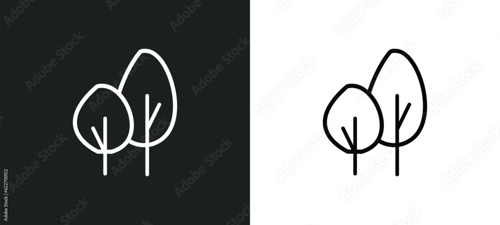 northern red oak tree outline icon in white and black colors. northern ...