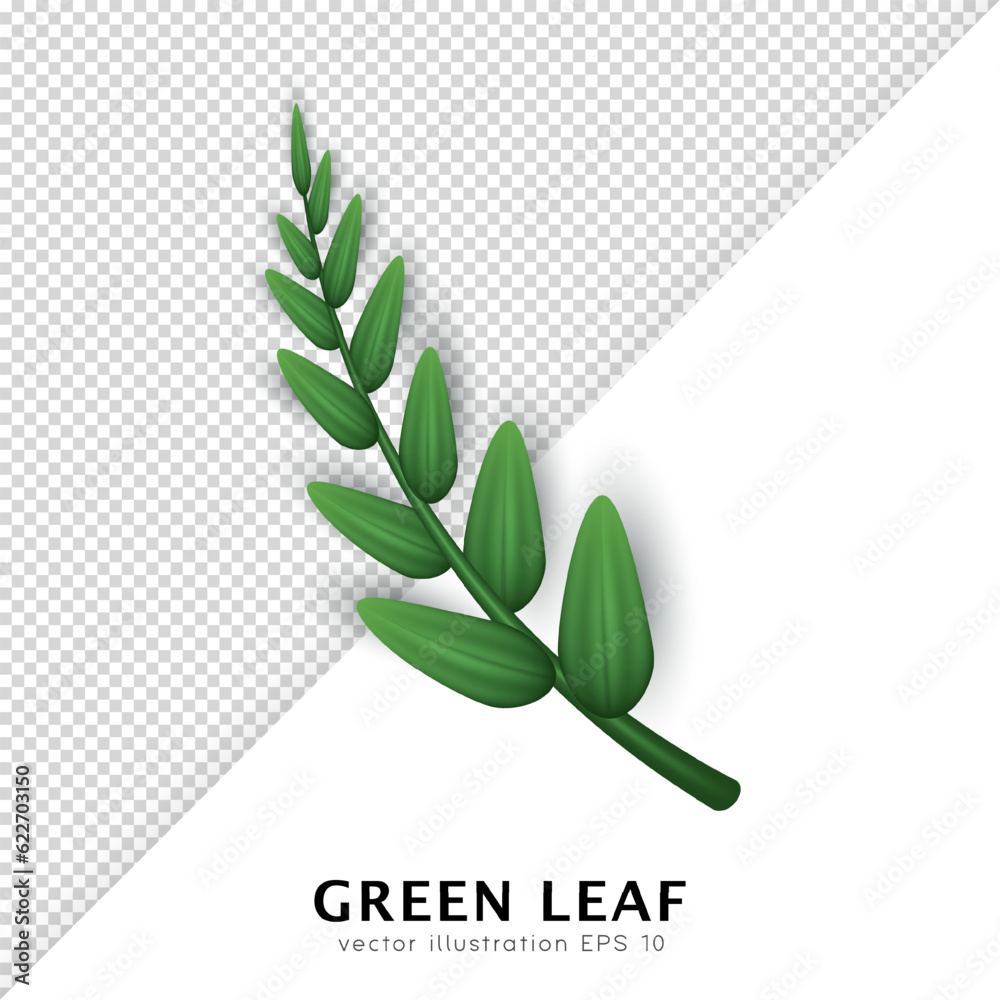 Realistic twig with green leaves isolated on transparent background ...