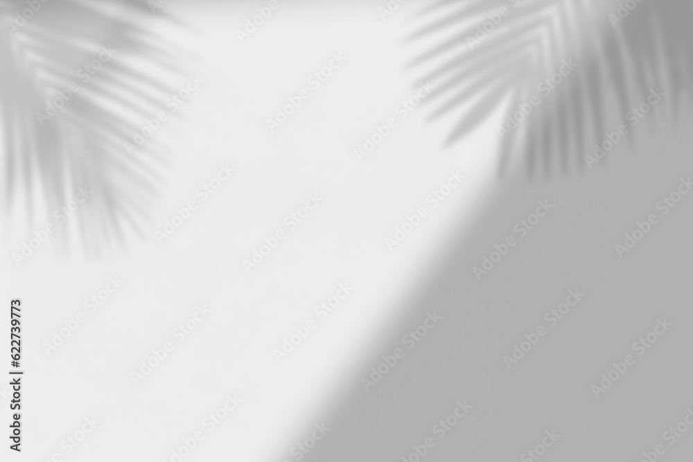 Leaves and window pane shadow. Realistic tree branches shadow blur ... Leaves and window pane shadow. Realistic tree branches shadow blur ...