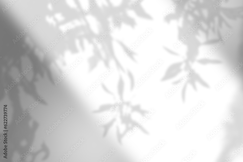 Leaves and window pane shadow. Realistic tree branches shadow blur ... Leaves and window pane shadow. Realistic tree branches shadow blur ...