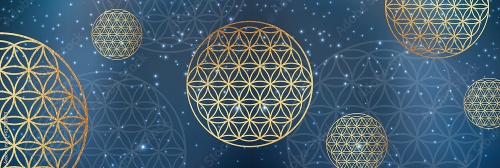 Flower of life gold on a universe Background banner Stock Illustration ...