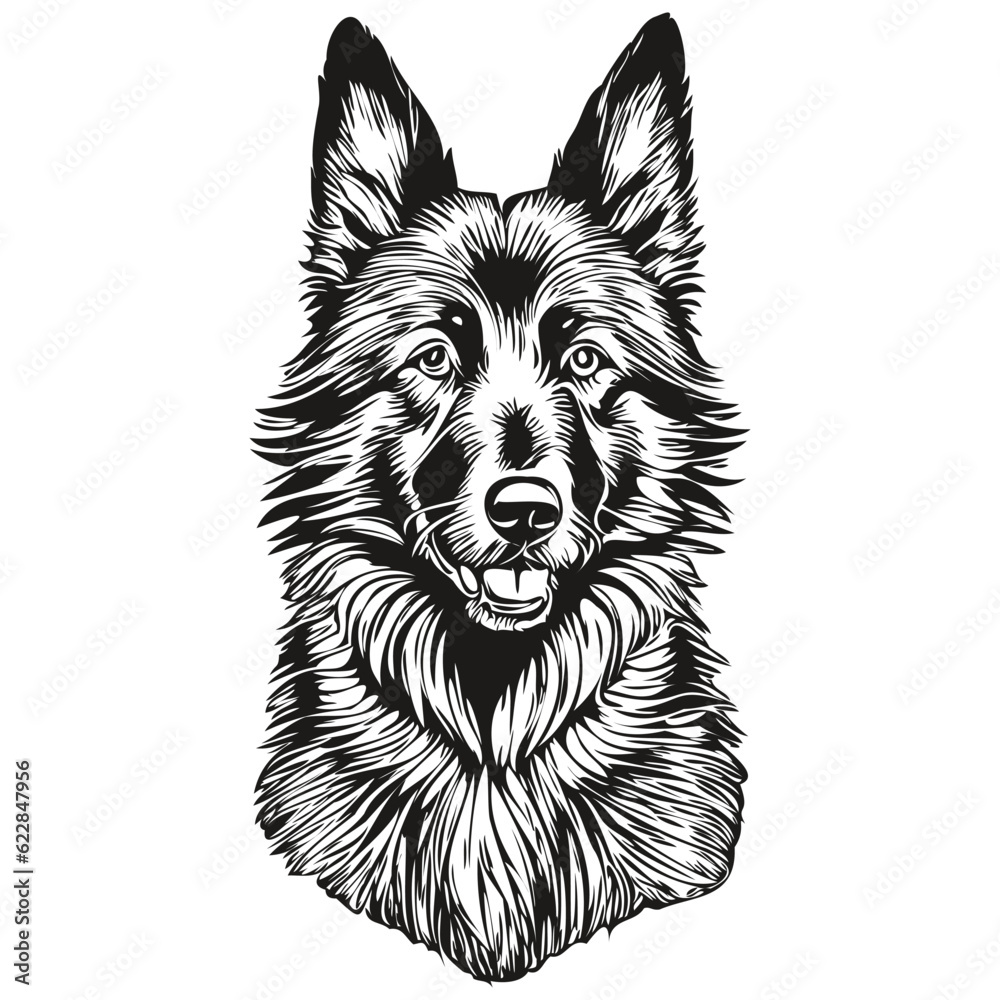 Doge Head Transparent