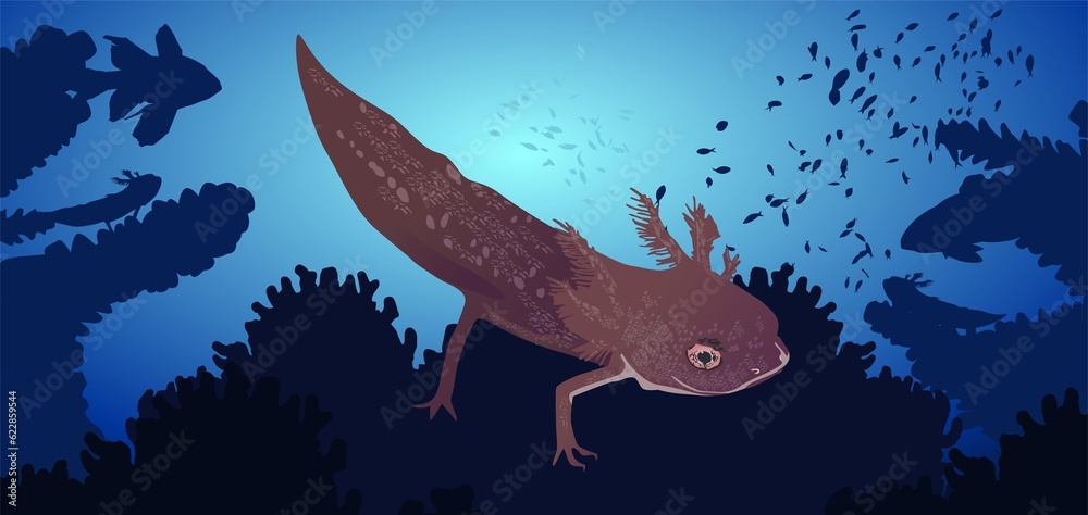 ajolote, azteca, piedra, acuario Stock Illustration | Adobe Stock