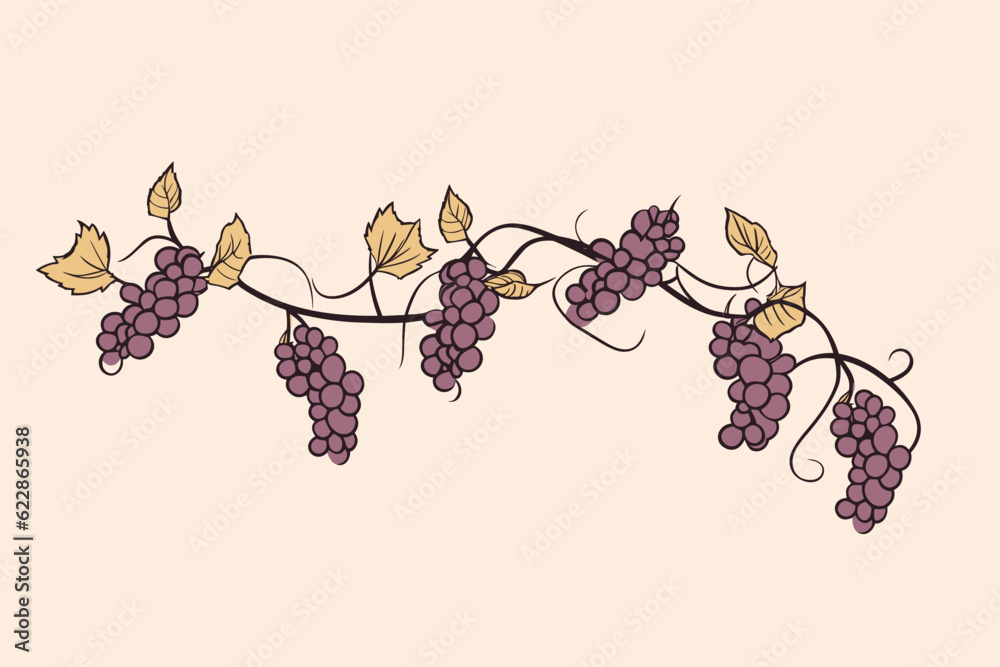 Doodle inspired Grapevine buds, cartoon sticker, sketch, vector ...