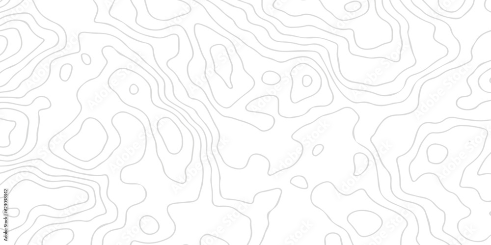 Background of the topographic map. White wave paper curved reliefs ...