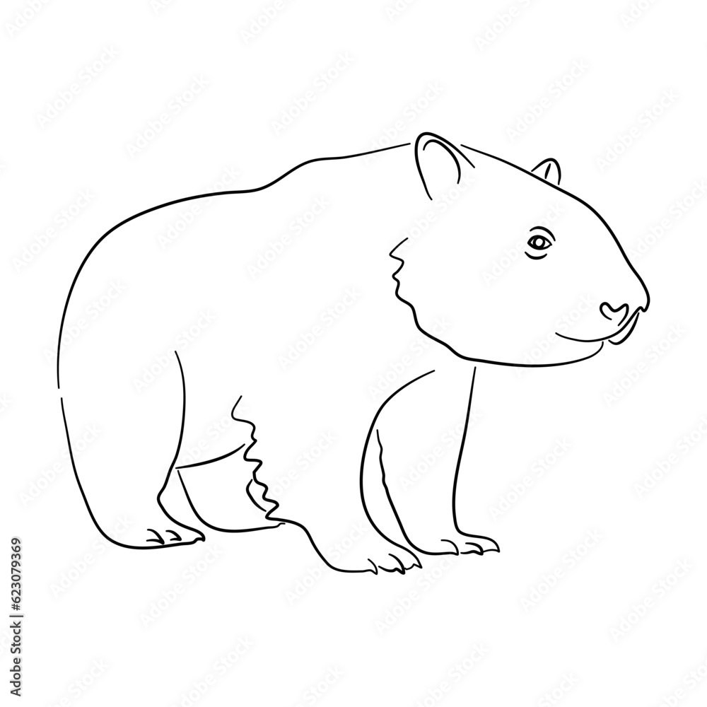 Wombat Sketch