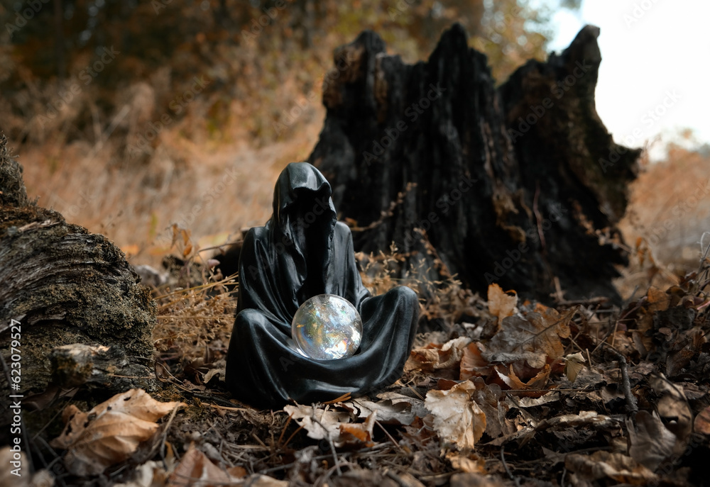mysterious black cloaked figure with crystal ball in dark forest ...