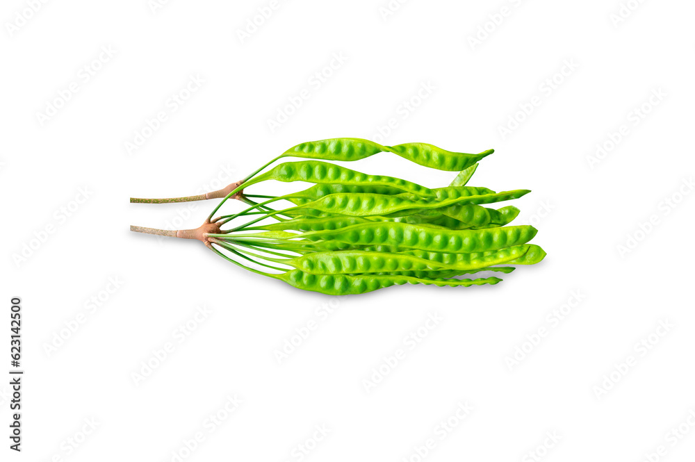 Closeup vegetable , image of asian bitter green beans known as twisted ...