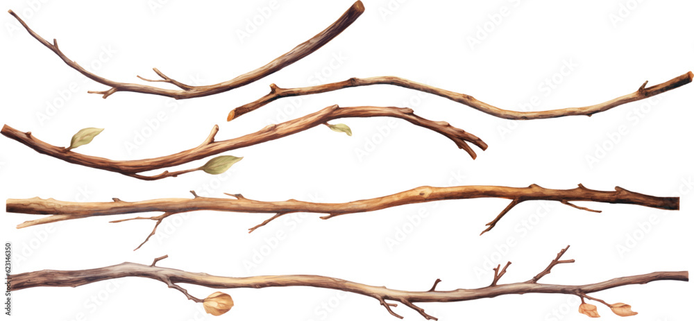 Rustic arch with tree branches and isolated design elements on white ...