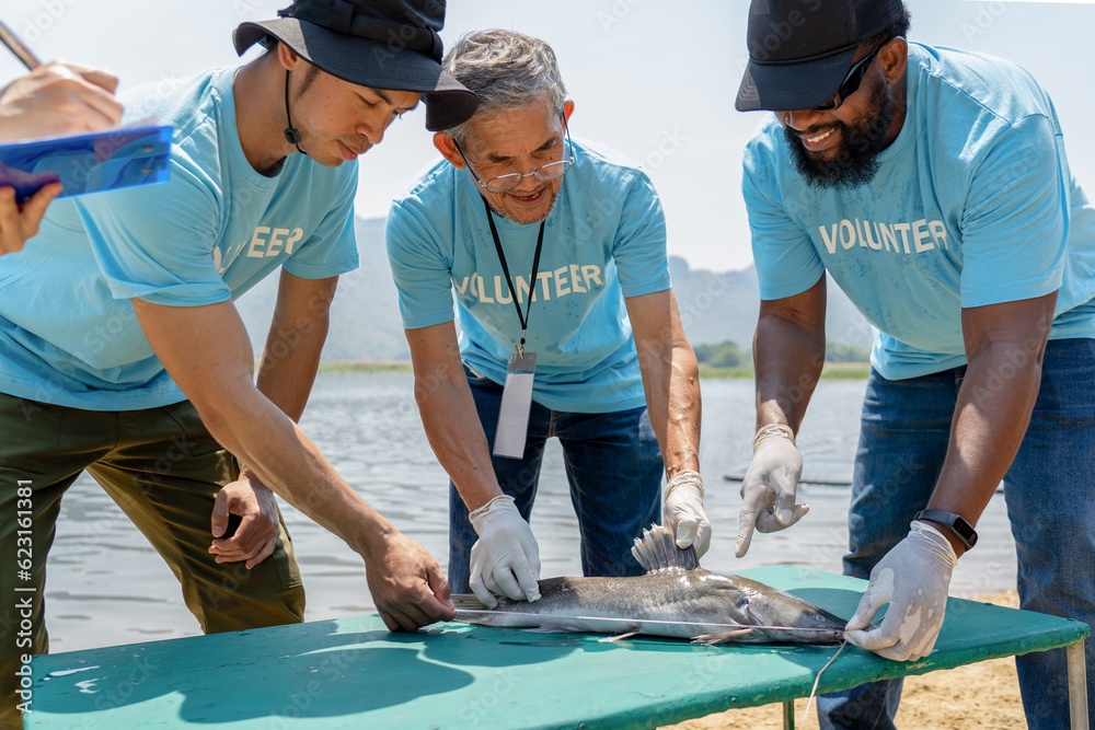 group of diverse volunteer and professional biologist team working ...