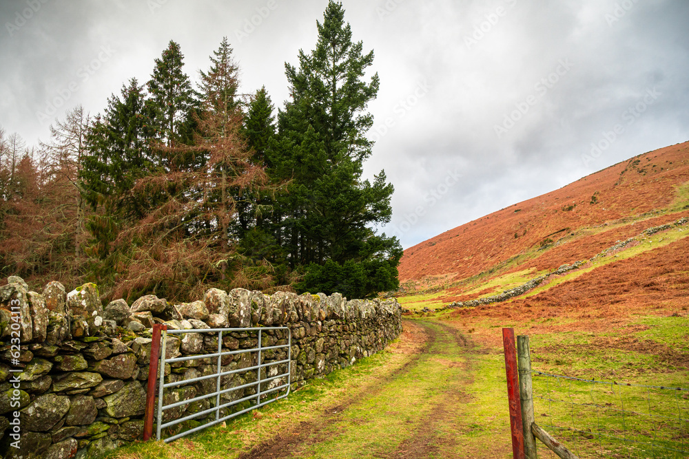 Idyllic view, County Wicklow, Ireland. Mountains, close to Guinness ...