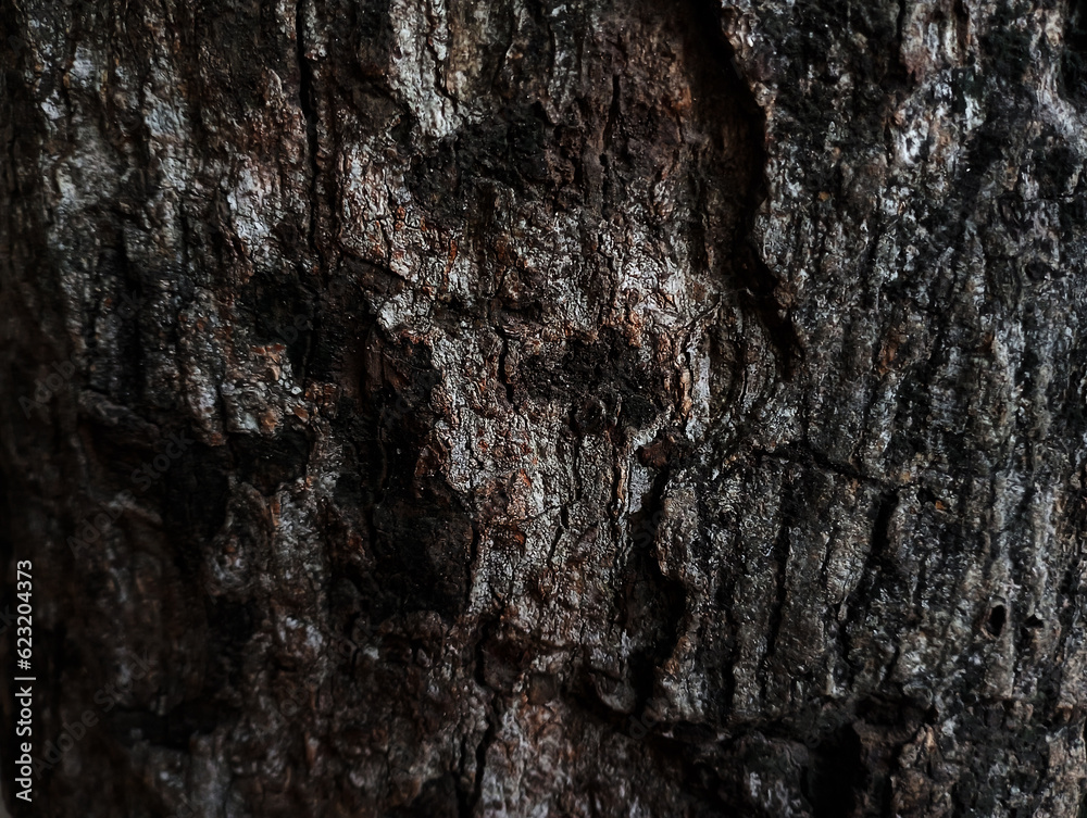 surface texture of old black tree bark,old black tree bark surface ...