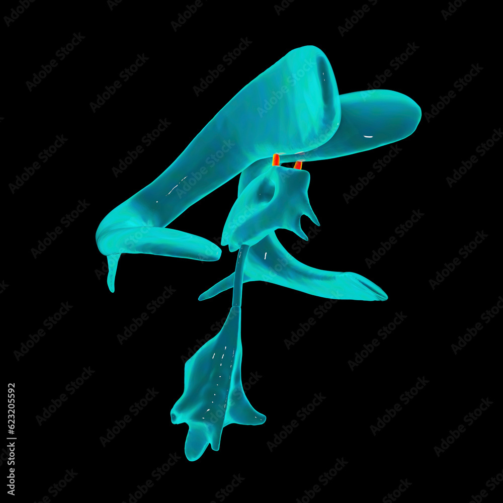 The interventricular foramen, also known as the foramen of Monro, 3D ...