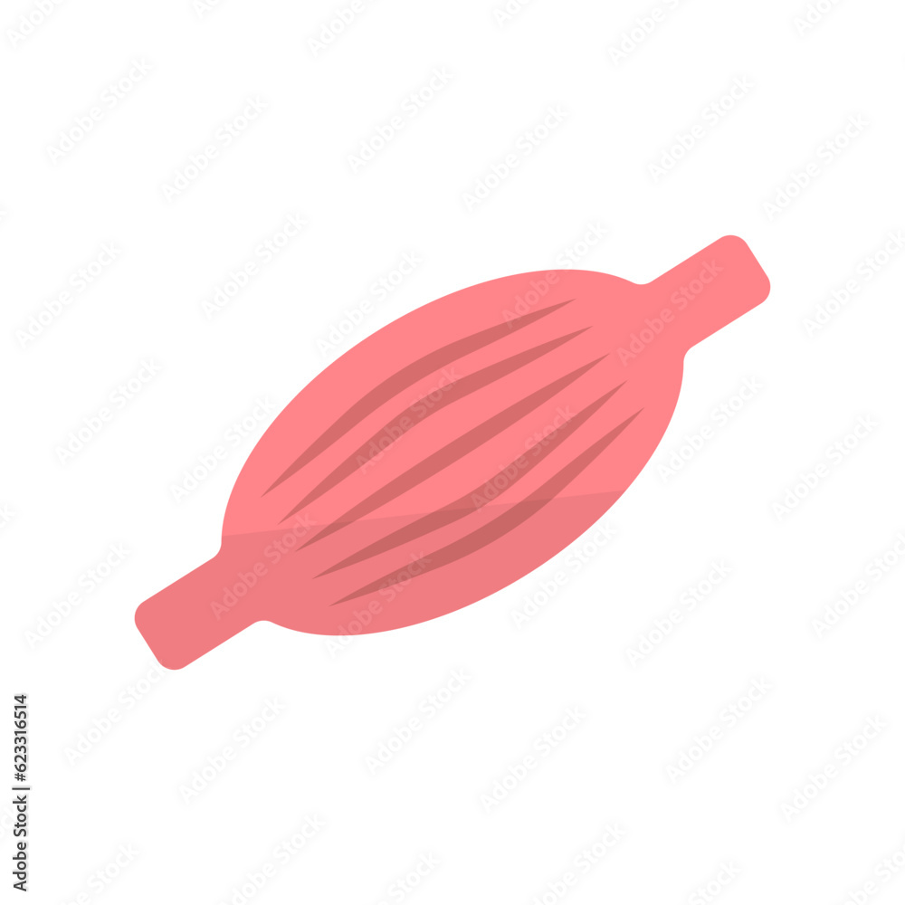 Muscle anatomy icon. Muscle fiber. Vector. Stock Vector | Adobe Stock