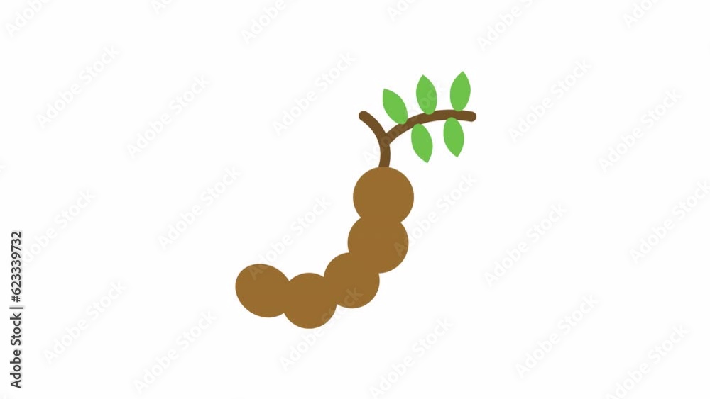 Tamarind, Fruits animated icon on transparent background. Stock 비디오 ...