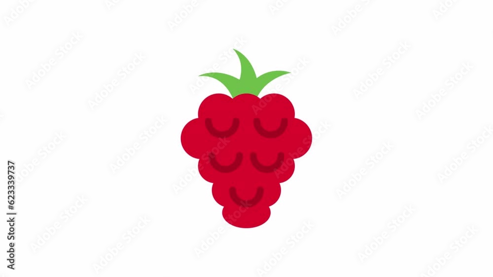 Raspberry, Fruits animated icon on transparent background. Stock 비디오 ...