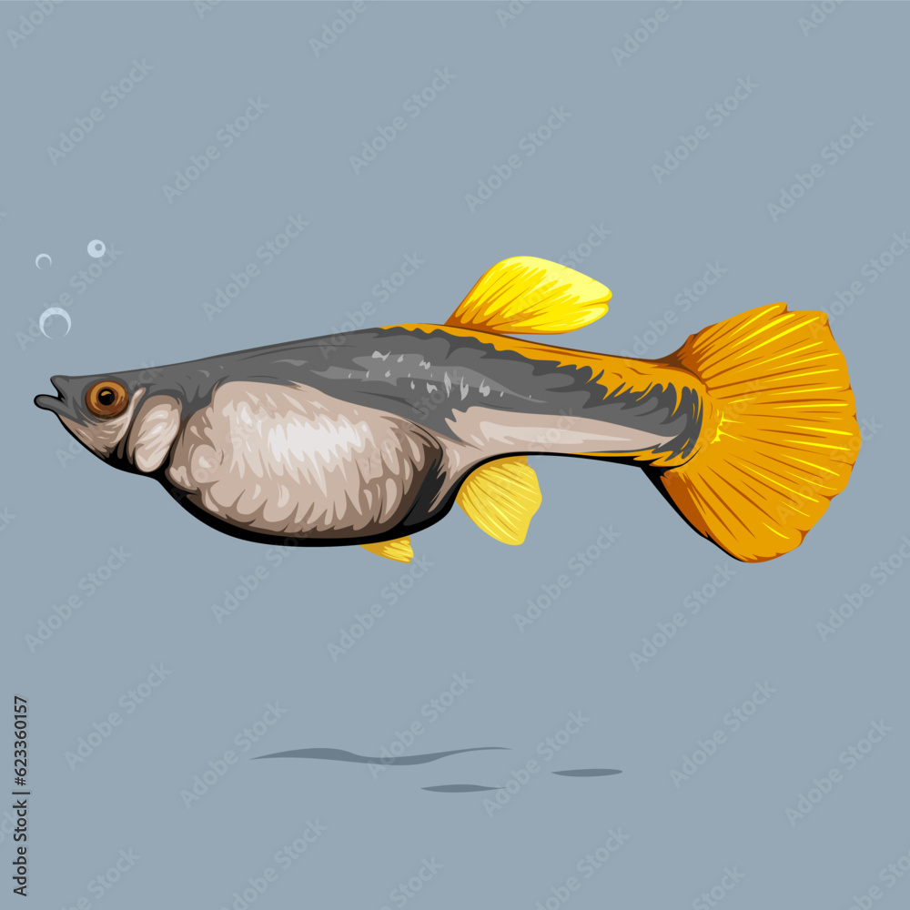 Vector illustration of Female HB Yellow Guppy Fish with simple bubble ...
