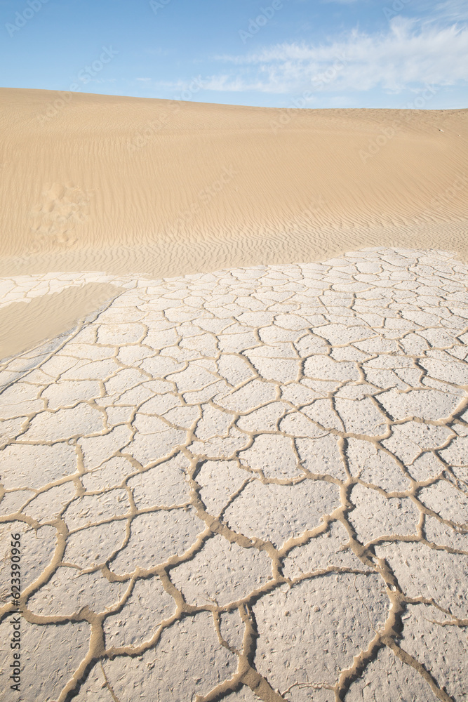 Global warming, drought, lack of rain, no seasonality The land is ...