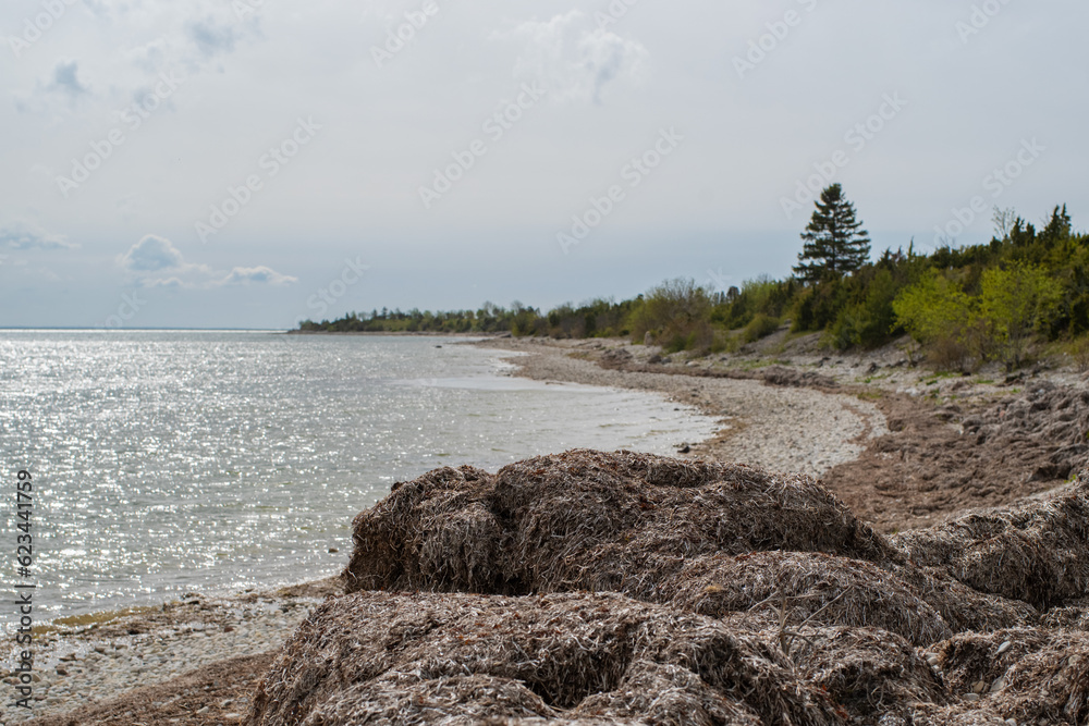 Foto de Kassari beach in Kassari Landscape Protection area - naturally ...