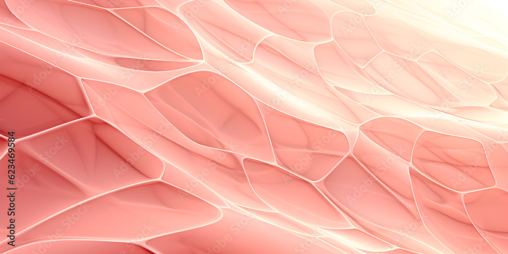 Layer of cells, human skin cells or epithelial cells.Unveiling the ...