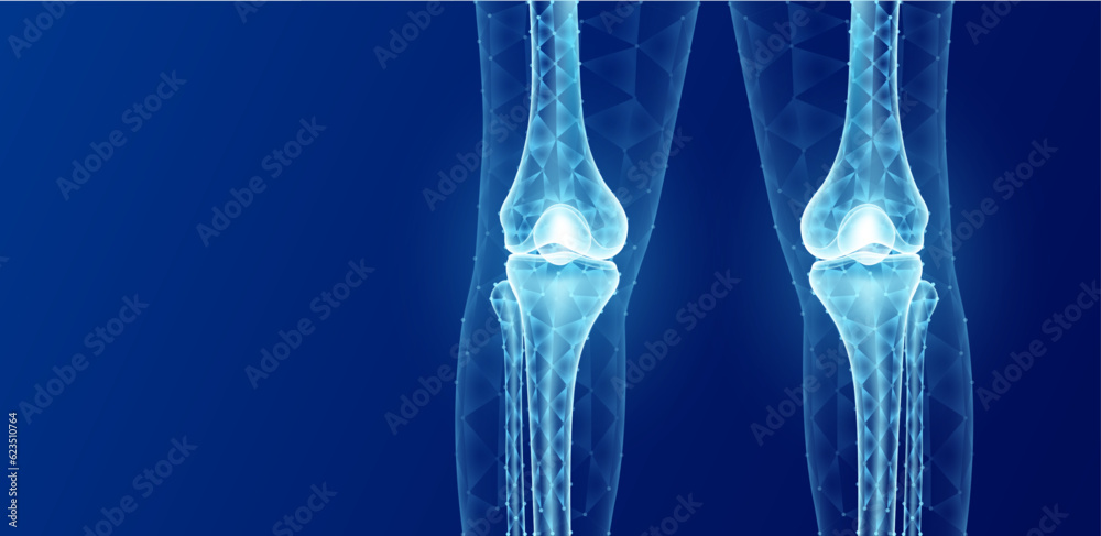 Cartilage bone knee joint side translucent low poly triangles on blue ...