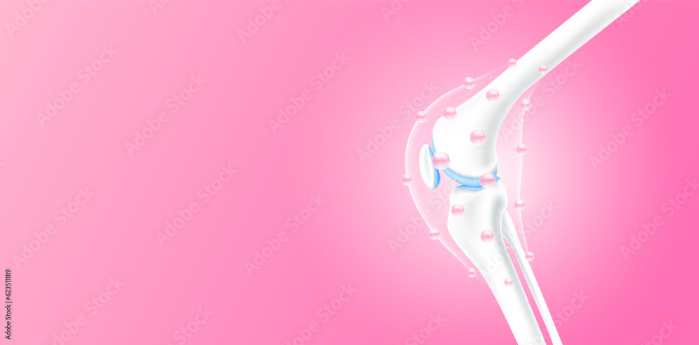 Leg bones and knee joint side healthy on pink background. Collagen ...