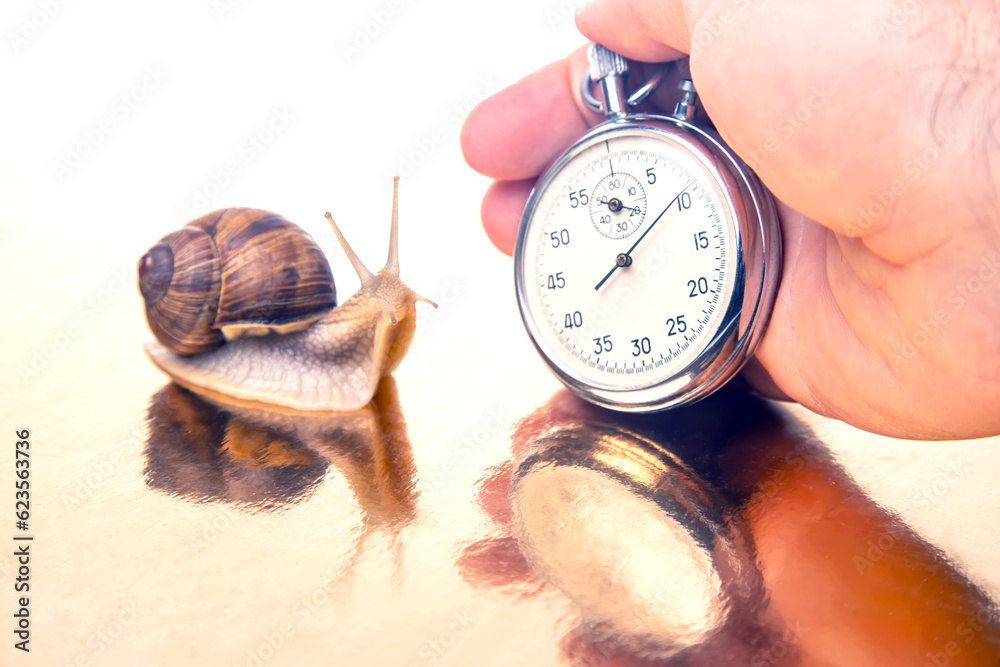Snail and stopwatch in hand on a golden background. Speed concept ...