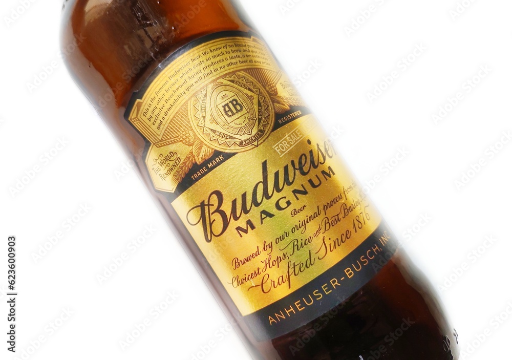 Guwahati, Assam, India - July 14, 2023 : Budweiser Magnum is a well ...
