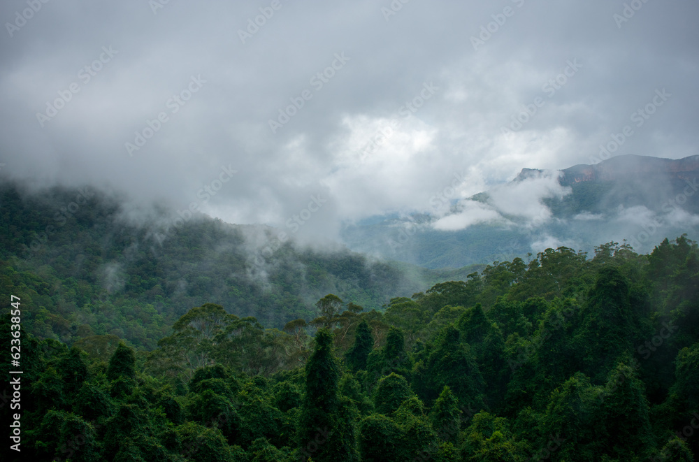 Magical Blue Mountains, located near Sydney in Australia. This ...