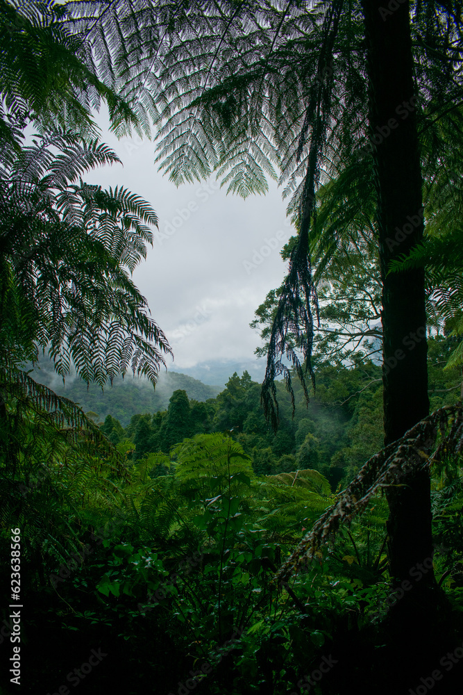 Magical Blue Mountains, located near Sydney in Australia. This ...